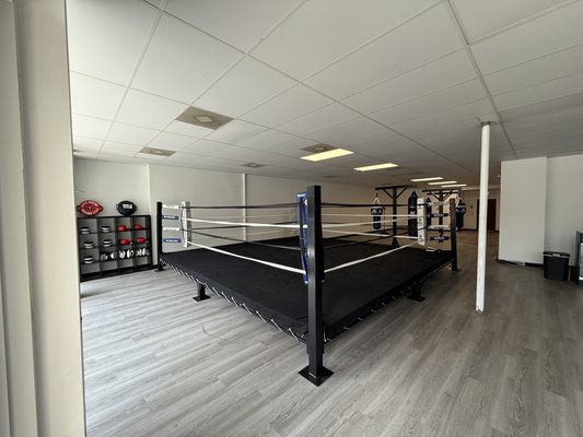 ROYAL BOXING + MMA - Updated August 2025 - 1956 W Lawrence Ave, Chicago ...
