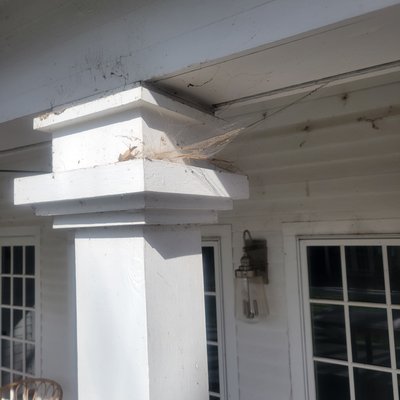 SHOO FLY PEST CONTROL - Updated December 2025 - 15 Photos & 19 Reviews ...