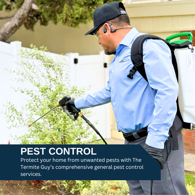 THE TERMITE GUY - Updated September 2025 - 80 Photos & 507 Reviews ...