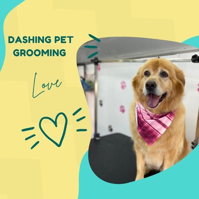 DASHING PET GROOMING - Updated October 2025 - 92 Photos & 38 Reviews - Round Rock, Texas - Pet ...