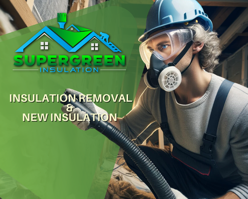SUPER GREEN INSULATION - Updated December 2025 - 74 Photos - 701 Tillery St, Austin, Texas ...