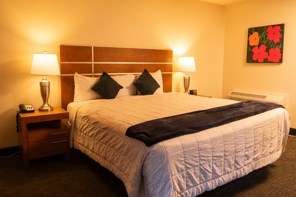 LEMON TREE INN - Updated December 2025 - 280 Photos & 389 Reviews ...