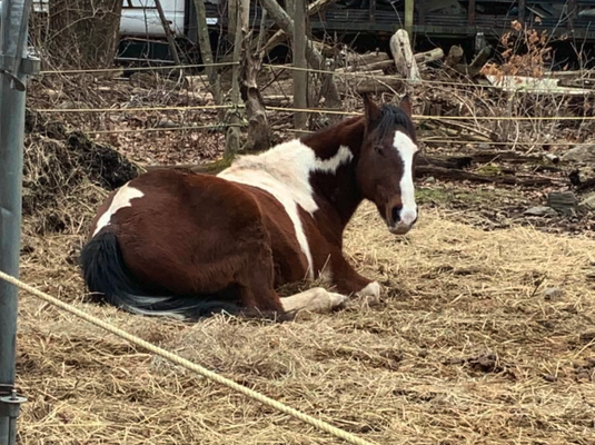 GOLD RUSH FARMS - Updated June 2024 - 33 Photos & 14 Reviews - 5 Silver ...