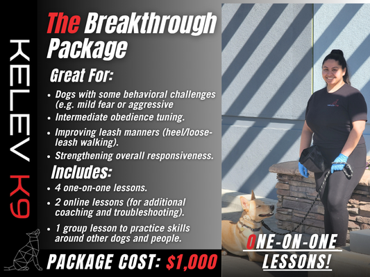 KELEV K-9 - Updated December 2025 - 255 Photos & 33 Reviews - San Fernando Valley, California ...