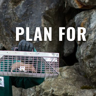 PARKER ECO PEST CONTROL - Updated November 2024 - 28 Photos - 432 W ...