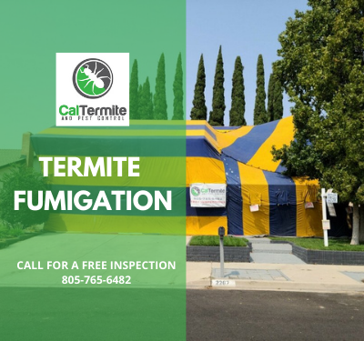 CAL TERMITE AND PEST CONTROL - Updated October 2025 - 705 Photos & 310 ...