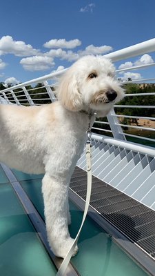 DEE O GEE - Updated June 2025 - 52 Photos & 43 Reviews - 6001 Hughes ...