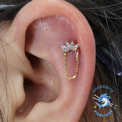 SHARKBITE PIERCINGS - Updated October 2025 - 68 Photos & 90 Reviews ...