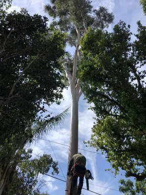 OLIVERA LANDSCAPE - Updated September 2025 - 320 Photos & 24 Reviews ...