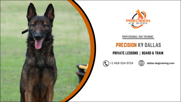 PRECISION K9 DALLAS - Updated September 2024 - 17 Photos - Dallas, Texas - Pet Training - Phone ...