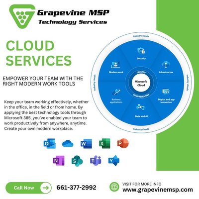 GRAPEVINE MSP TECHNOLOGY SERVICES - Updated December 2025 - 27 Reviews ...