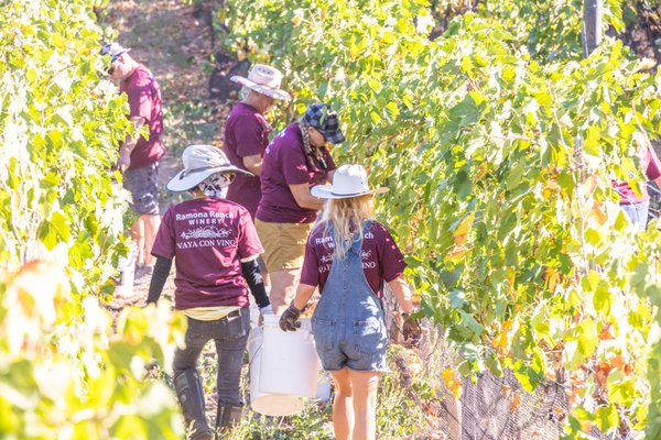 RAMONA RANCH VINEYARD AND WINERY - Updated October 2025 - 140 Photos ...