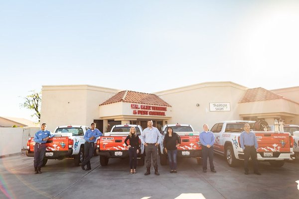 MR. BEEZ TERMITE & PEST CONTROL - Updated May 2025 - 53 Photos & 291 ...