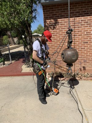 TREE MONKEY TREE TRIMMING - Updated December 2025 - 109 Photos & 70 ...