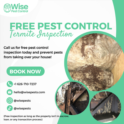 WISE PEST CONTROL - Updated August 2025 - 28 Photos & 69 Reviews - 16 N ...