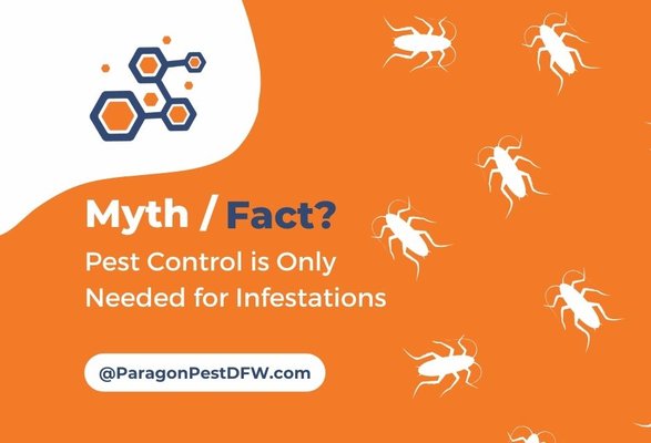 PARAGON PEST CONTROL - Updated May 2025 - 232 Photos & 75 Reviews ...