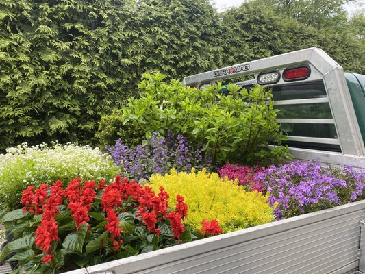 VIP LANDSCAPING - Updated July 2025 - 77 Photos - PO Box 315, Havertown ...