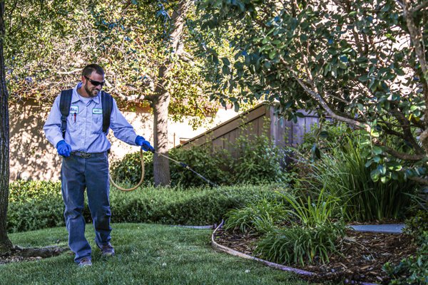 ECOGUARD PEST MANAGEMENT - 26 Photos & 34 Reviews - Livermore ...