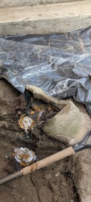 Professional Plumbing - Updated January 2026 - 88 Photos - 87 Reviews ...