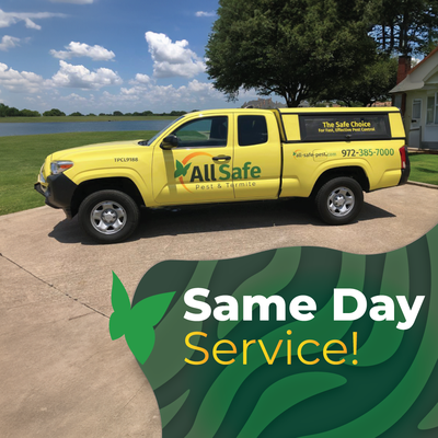 ALL-SAFE PEST & TERMITE - Updated October 2025 - 77 Photos & 95 Reviews ...