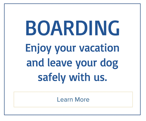 DOG ON FUN - Updated August 2024 - 94 Photos & 164 Reviews - 642 E Edna ...