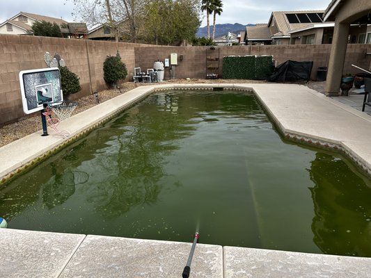 Pufferfish Pools - Updated June 2026 - 46 Photos & 24 Reviews - Las ...