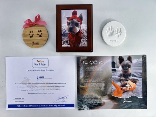 SMALL PAWS CREMATIONS - Updated January 2026 - 320 Photos & 184 Reviews ...