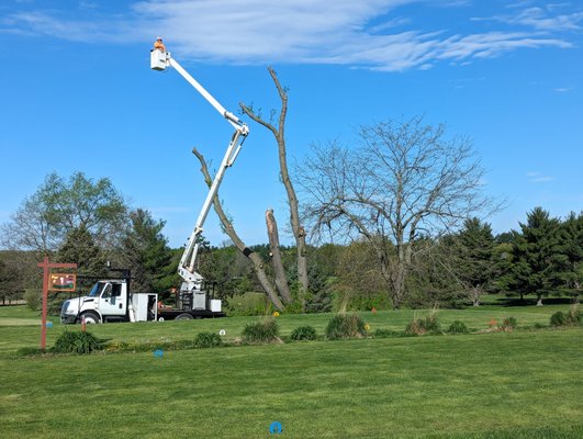 GROVER TREE COMPANY - Updated October 2024 - 14 Photos - 631 E Pk Rd ...