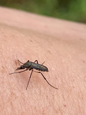 BIO-TECH PEST CONTROL - Updated August 2025 - 50 Photos & 63 Reviews ...