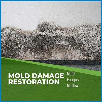 SERVPLUS WATER DAMAGE RESTORATION - Updated December 2025 - 59 Photos ...