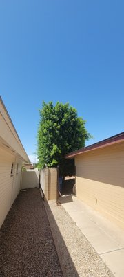 ALBERT’S LANDSCAPING - Updated January 2026 - 181 Photos & 51 Reviews ...