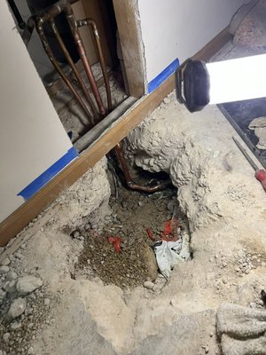 Root Busters - Updated January 2026 - 110 Photos - 26 Reviews - 121 ...