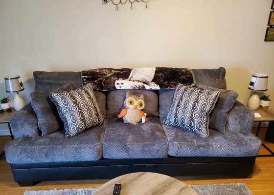 WISE OWL CLEANING SERVICES - Updated January 2026 - 17 Photos - 4829 NY ...