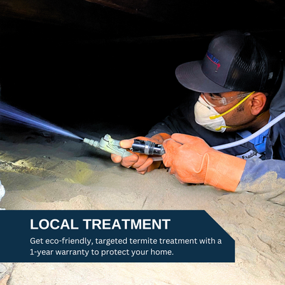 THE TERMITE GUY - Updated January 2025 - 78 Photos & 474 Reviews - 1440 ...