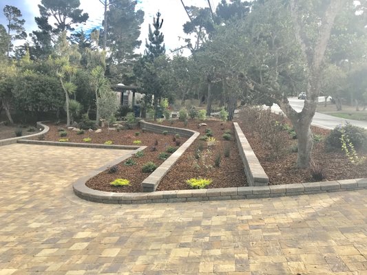 PACIFIC LANDSCAPING & TREE SERVICE - Updated May 2026 - 185 Photos & 34 ...