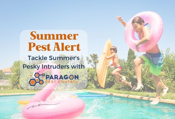 PARAGON PEST CONTROL - Updated May 2025 - 227 Photos & 75 Reviews ...