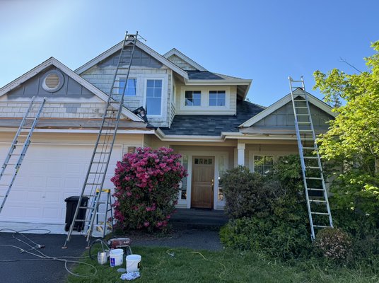 PROMAX PAINTING - Updated October 2025 - 18 Photos - Bothell ...