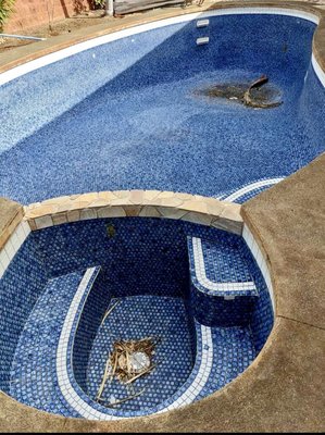 HUNAKAI POOLS SERVICE - Updated October 2025 - 44 Photos & 13 Reviews ...