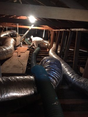 RODENT SOLUTION - Updated July 2024 - 63 Photos & 27 Reviews - Los ...