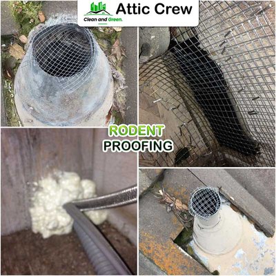 ATTIC CREW - Updated July 2024 - 391 Photos & 134 Reviews - 707 S Grady ...