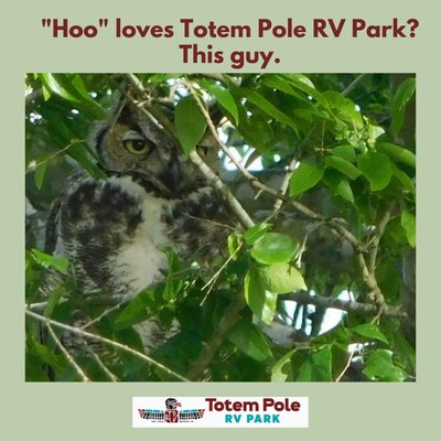 TOTEM POLE RV PARK - Updated December 2025 - 35 Photos - 10736 N Ih-37 ...