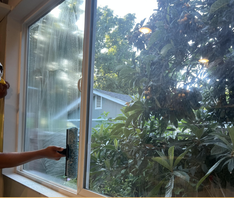 Window Washing - SQUEAKY CLEAN WINDOWS - Request a Quote - Citrus ...