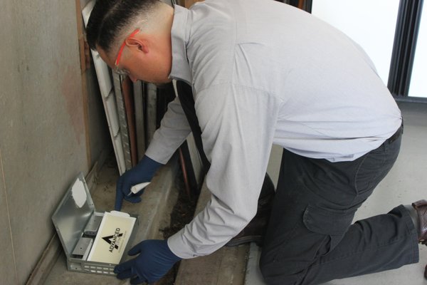 ADVANCED IPM - Updated November 2025 - 15 Photos & 34 Reviews - 4970 ...