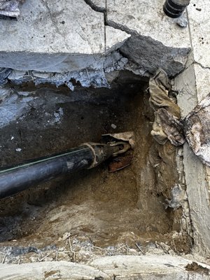 Quick-Flo Plumbing & Rooter - Updated December 2025 - 162 Photos - 200 ...