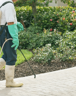 PEST MEDICS - Updated May 2026 - 36 Photos & 39 Reviews - Philadelphia ...