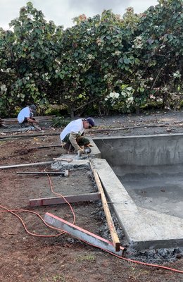 NEPTUNE POOL AND SPA SERVICE - Updated October 2025 - 24 Photos & 11 ...