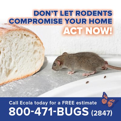 ECOLA TERMITE & PEST CONTROL - Updated May 2026 - 24 Photos & 153 ...