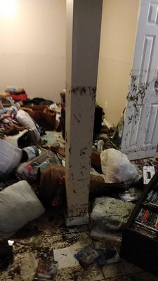 ADVANCED RESTORATION SOLUTIONS - Updated December 2025 - 483 Photos ...