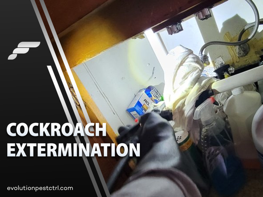 EVOLUTION PEST CONTROL - Updated June 2025 - 25 Photos & 12 Reviews - Moreno Valley, California ...