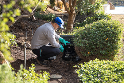 SIMPLE PEST MANAGEMENT - Updated January 2026 - 27 Photos & 51 Reviews ...